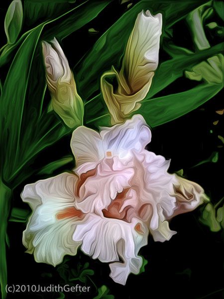 Judith Gefter – ASMP