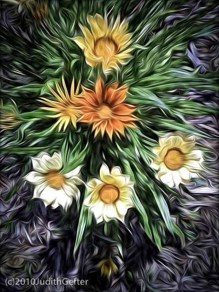 Judith Gefter – ASMP