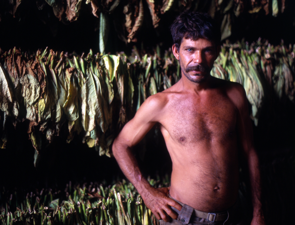 Mike Tauber – ASMP