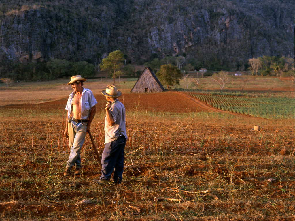 Mike Tauber – ASMP