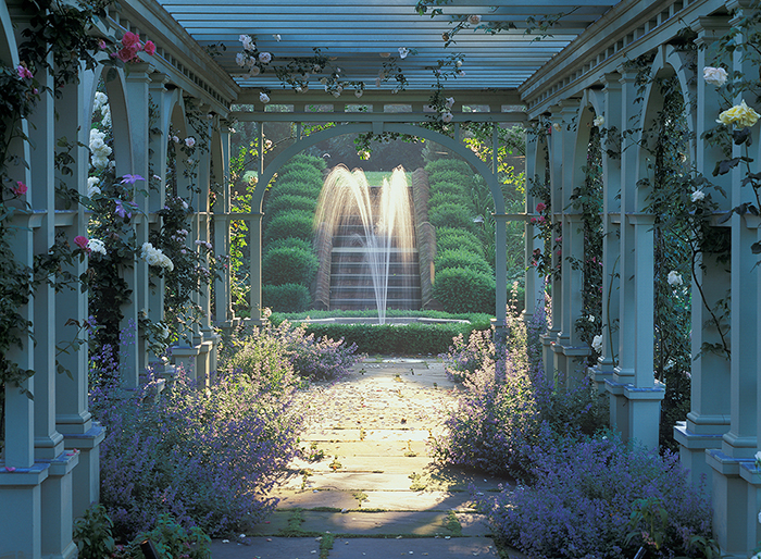 Roger Foley – ASMP