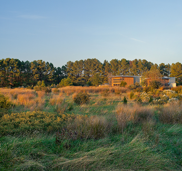 Roger Foley – ASMP