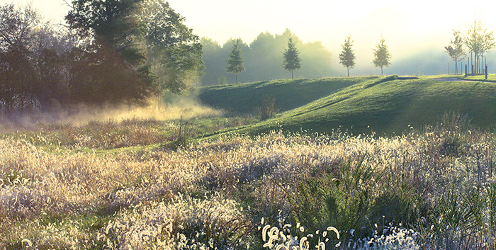 Roger Foley – ASMP