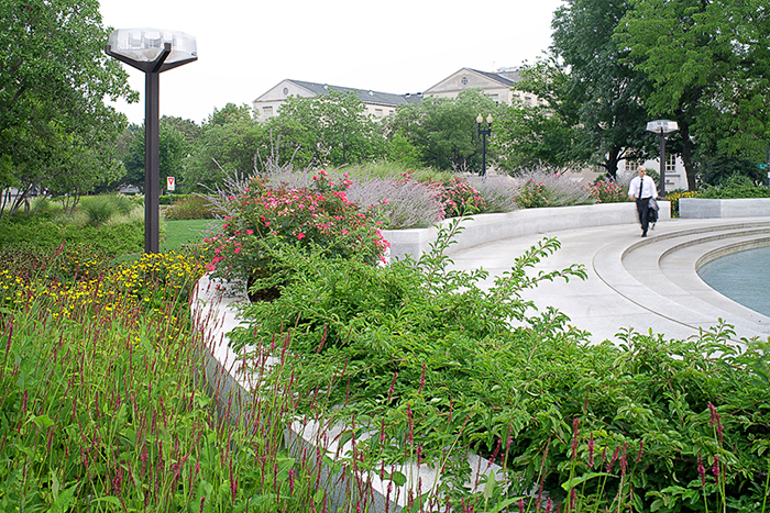 Roger Foley – ASMP