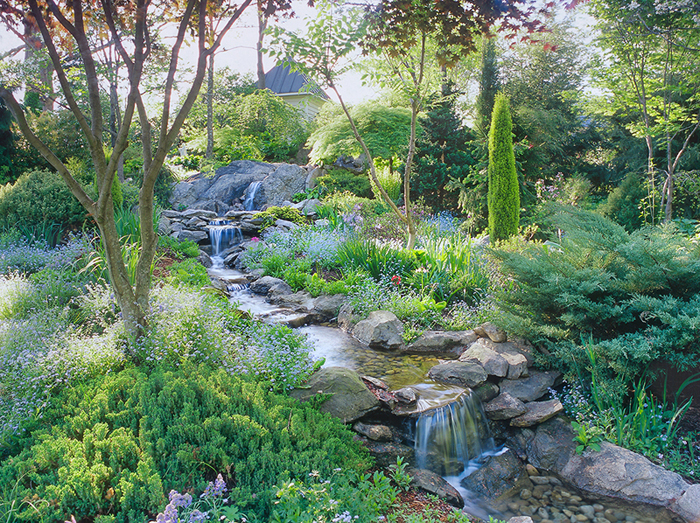 Roger Foley – ASMP