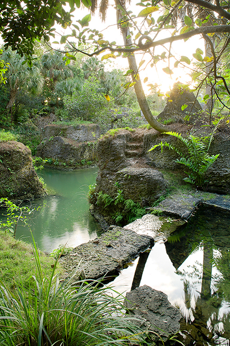 Roger Foley – ASMP