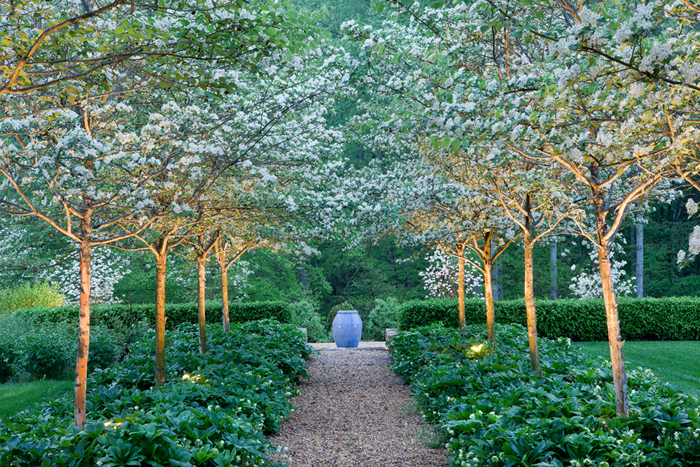 Roger Foley – ASMP