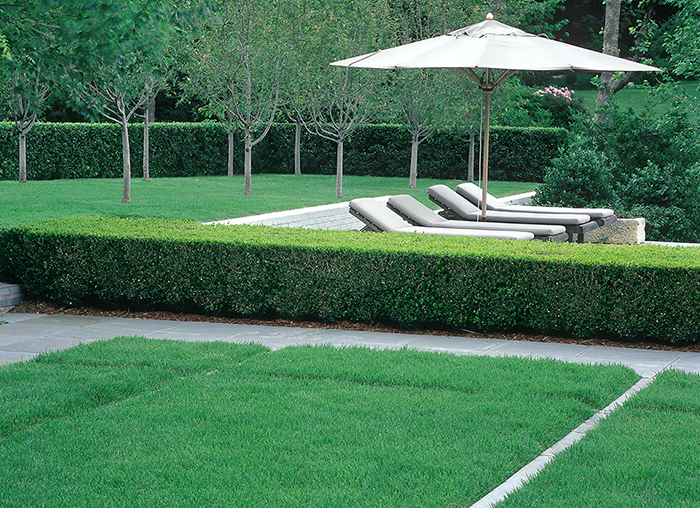 Roger Foley – ASMP