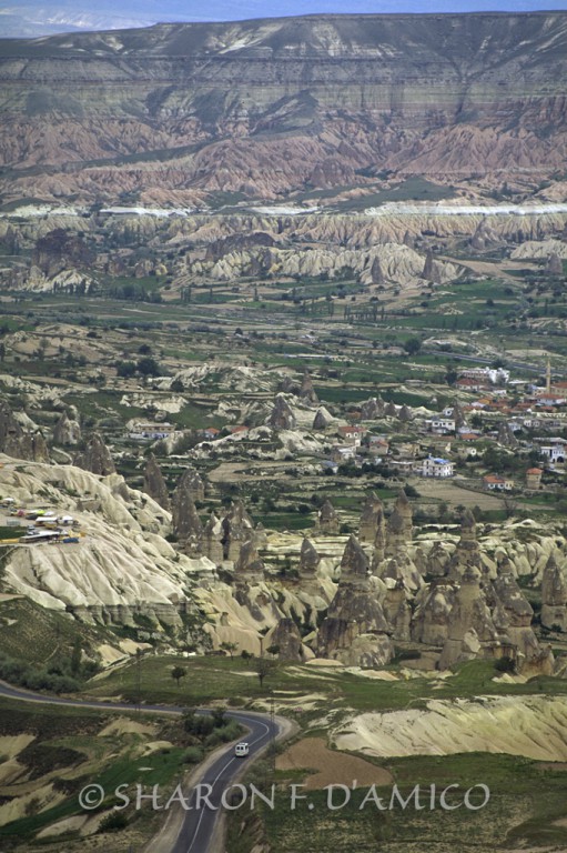 Sharon D’Amico – ASMP