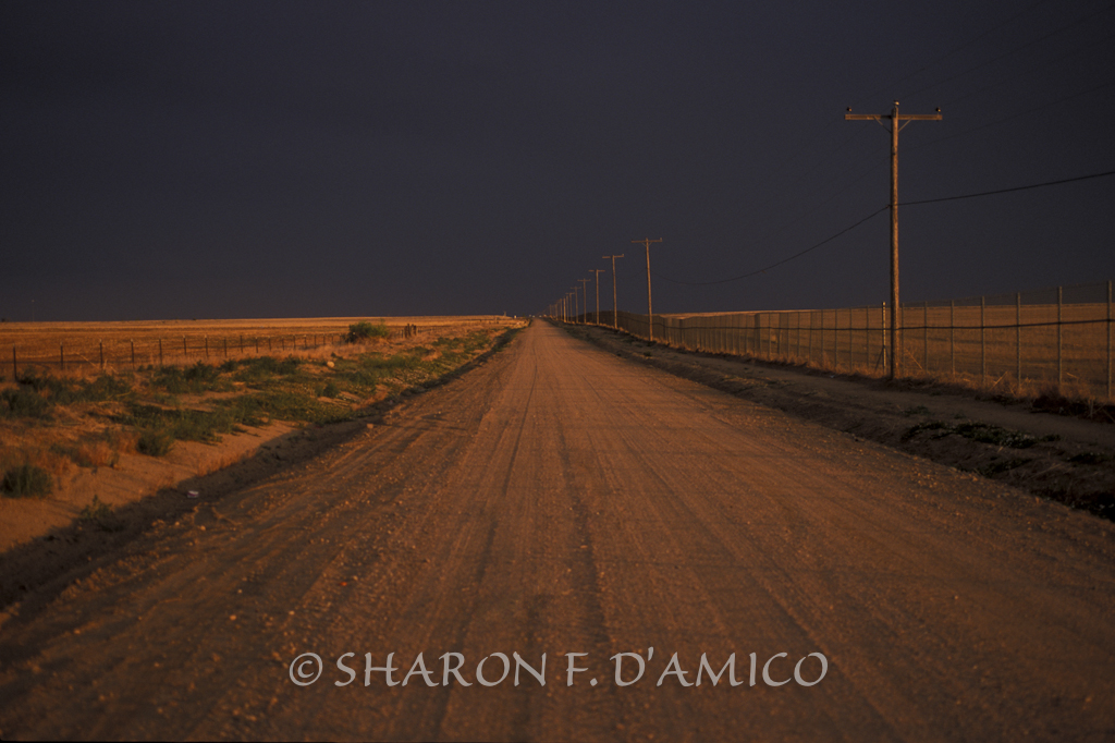 Sharon D’Amico – ASMP