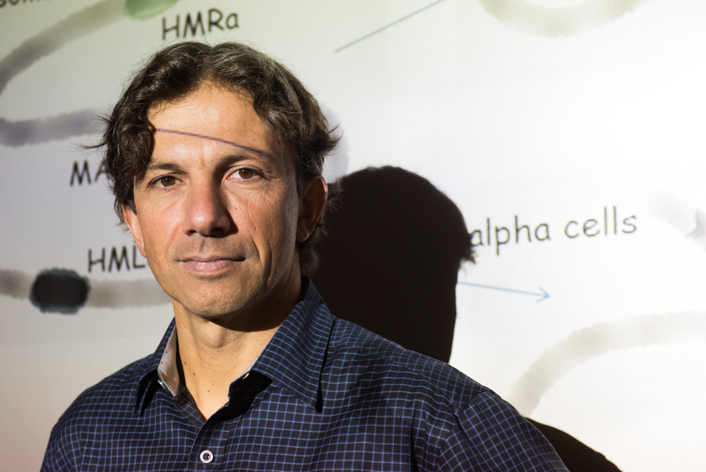 Mike Ritter – ASMP